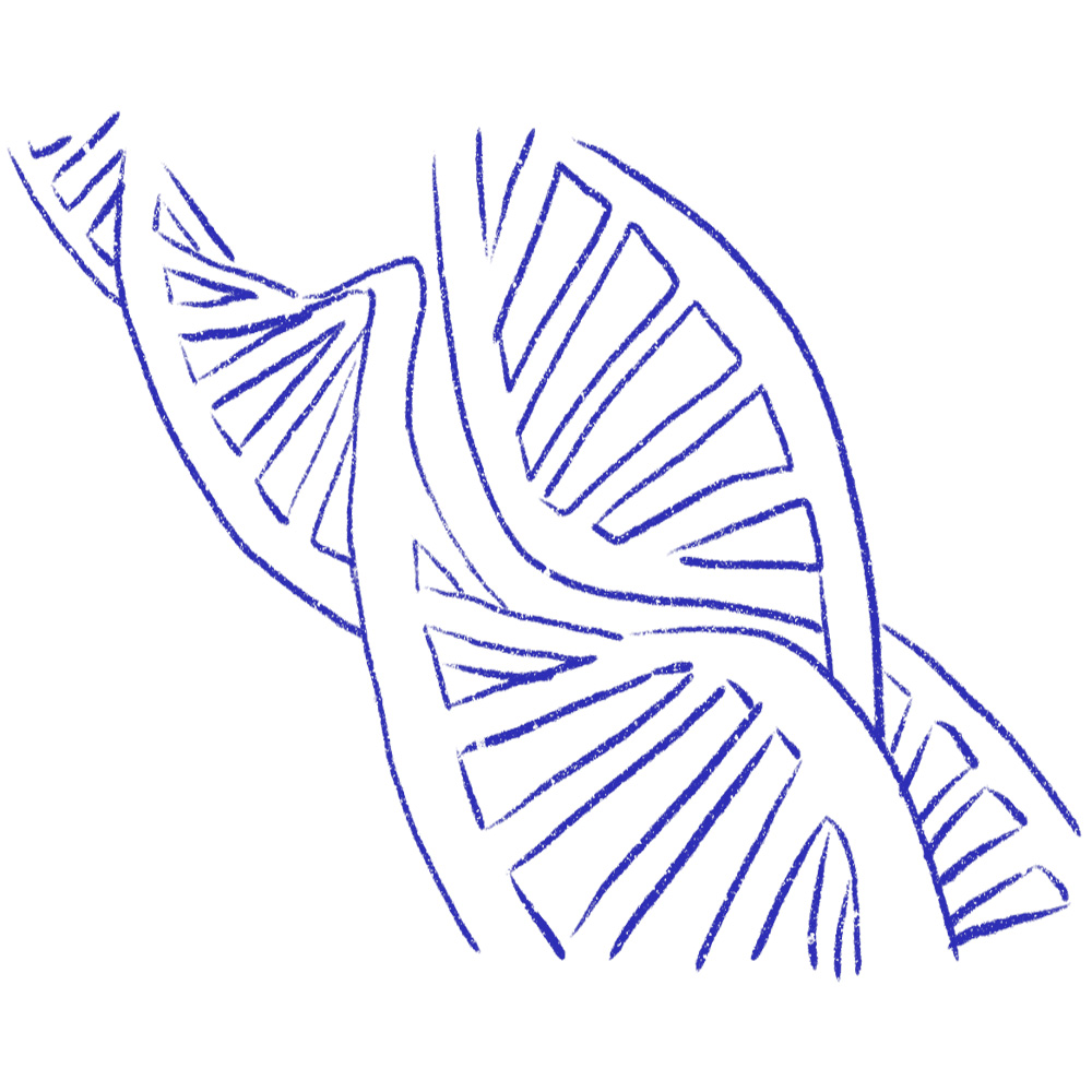 DNA Functional Genomic Analysis Annic Scholer